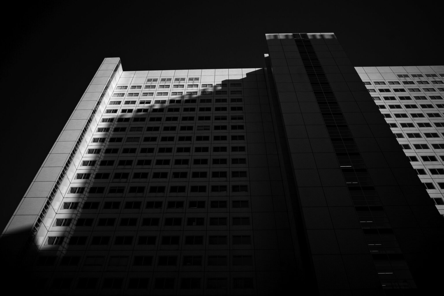 Shadow Scene – "Point ‘n Shoot"